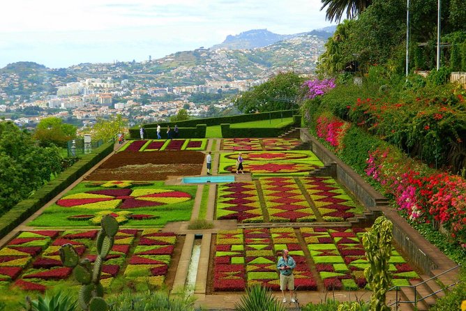 Private Half Day Madeira Tour (Mercedes Viano/Vito) - Pricing and Inclusions