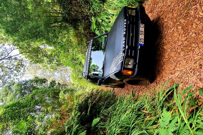 Private Half Day Off Road Tour in Madeira - Itinerary Highlights