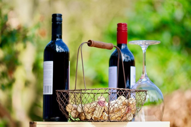Private Half Day Wine Tasting Tour: Road of the Doges - Transportation and Logistics