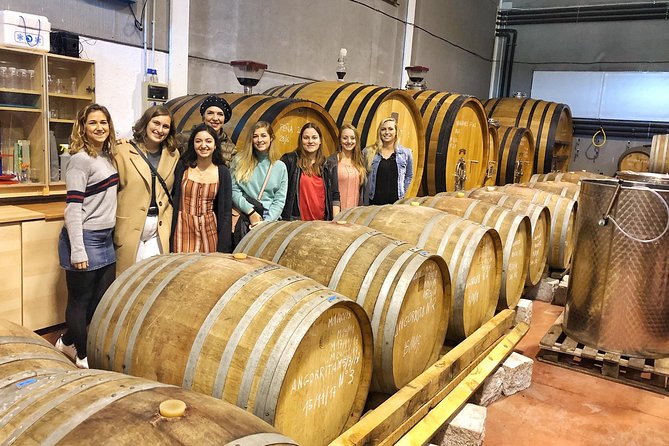 Private Half-Day Wine Tour Near Madrid - Rated Unique and Personalized - Inclusions