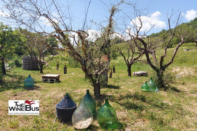 Private Irpinia Wine Tour From Sorrento With Wine Expert - The Wineries: a Glimpse Into Local Production