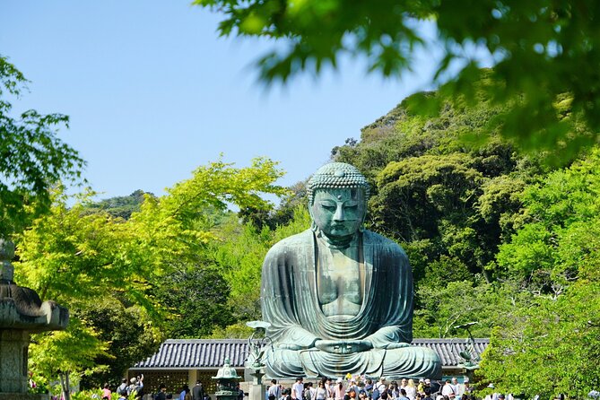 Private Kamakura and Enoshima Day Tour From Tokyo - Accessibility