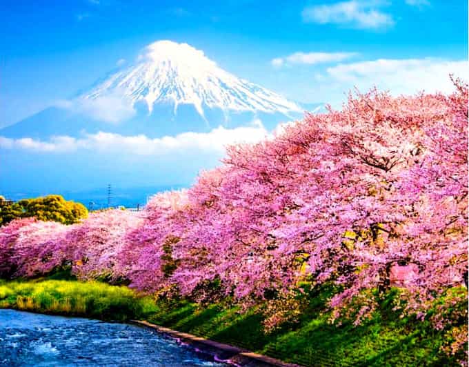 Private Mount Fuji Sightseeing Day Trip With English Guide - Itinerary Highlights