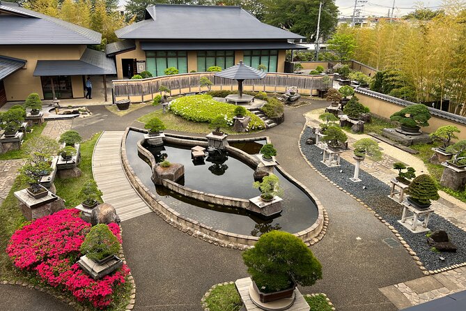 Private Omiya Bonsai Village Tour With Licensed Guide - Understanding the History of Bonsai Art