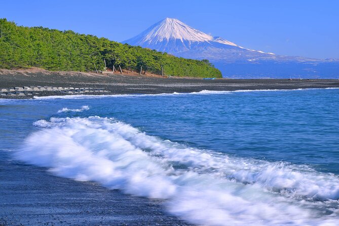 Private Sightseeing Tour From Shimizu Port / Sedan Taxi - Meeting and Pickup