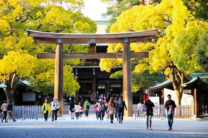 Private Tokyo Custom Full-Day Tour by Chartered Vehicle - Customization Options