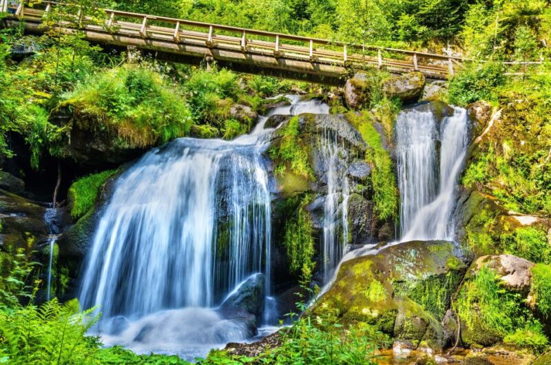 Private Tour From Zurich to Rhine Falls and Black Forest - Highlights and Attractions