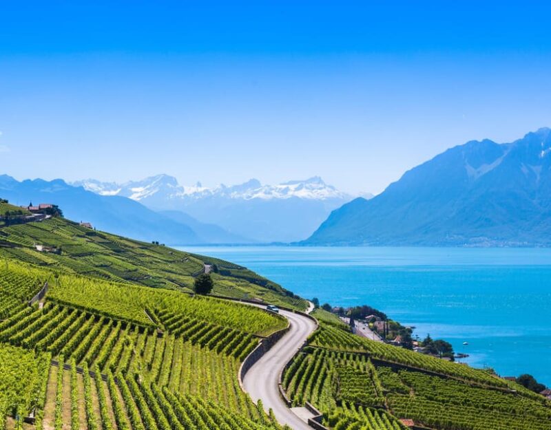 Private Tour Geneva-Gruyères: Chocolate and Cheese Factory - Itinerary Details