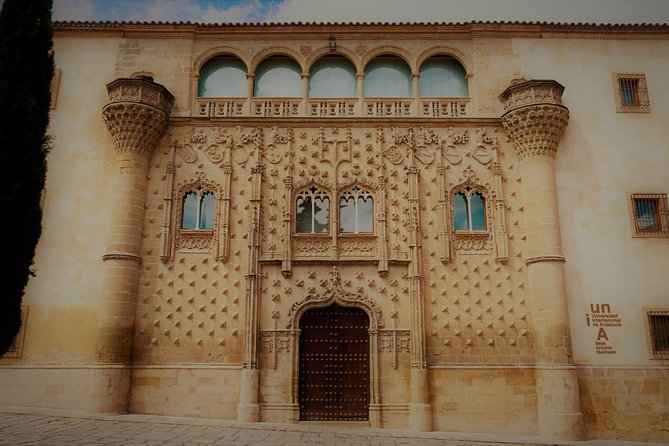 Private Tour of Baeza - Tasting the Finest Extra Virgin Olive Oil