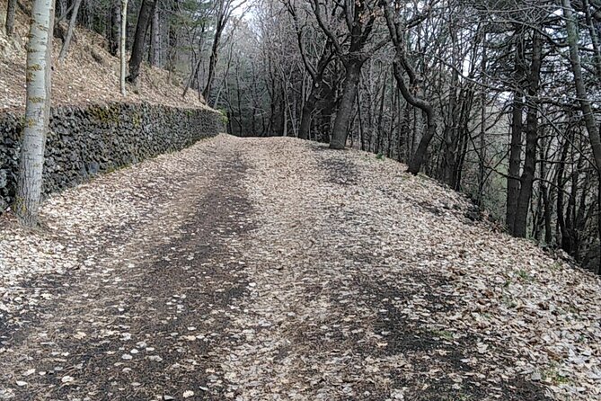 Private Tour of Mount Etna and the Alcantara Gorges - Whats Included