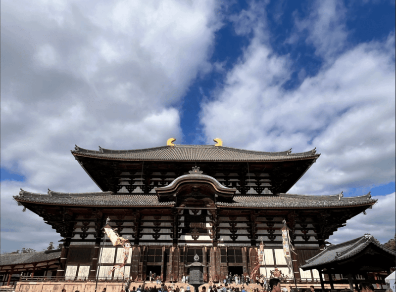 Private Tour of Nara With an English/Spanish-Speaking Guide - Encountering Deer in Nara Park