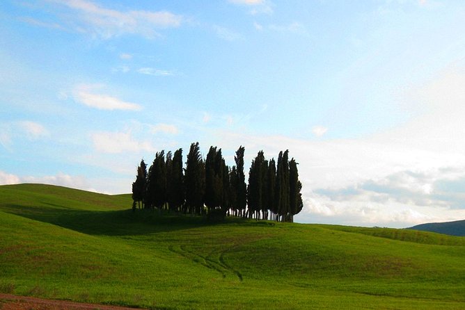 Private Tour: Pienza and Montalcino Organic Cheese and Wine Tour - Tour Highlights