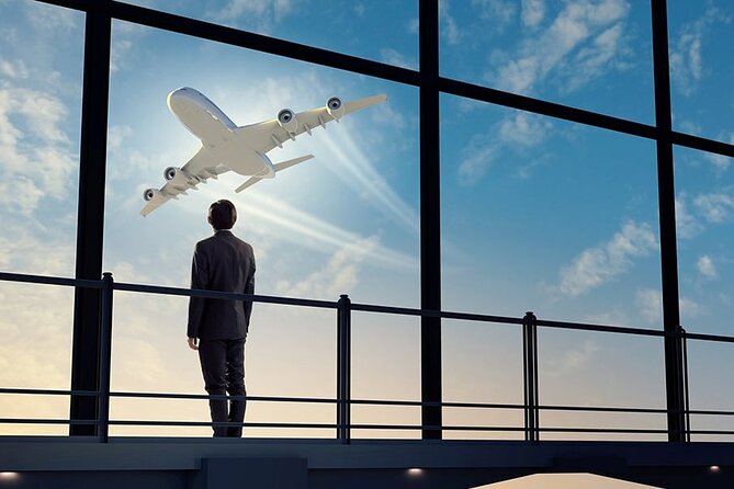 Private Transfer From Charle De Gaulle Airport to Paris - Inclusions Offered