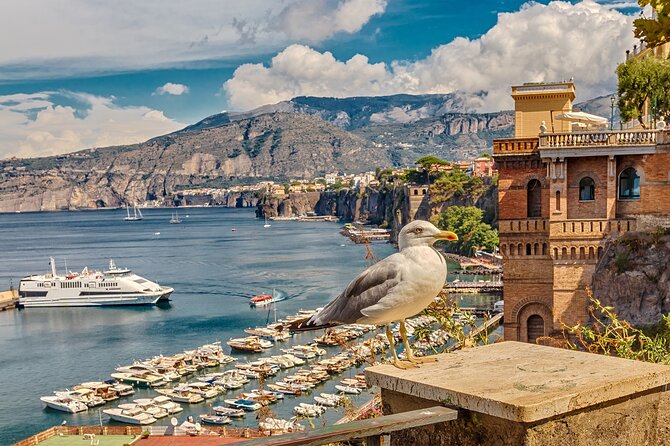Private Transfer From Naples to Sorrento - Vehicle and Driver Information