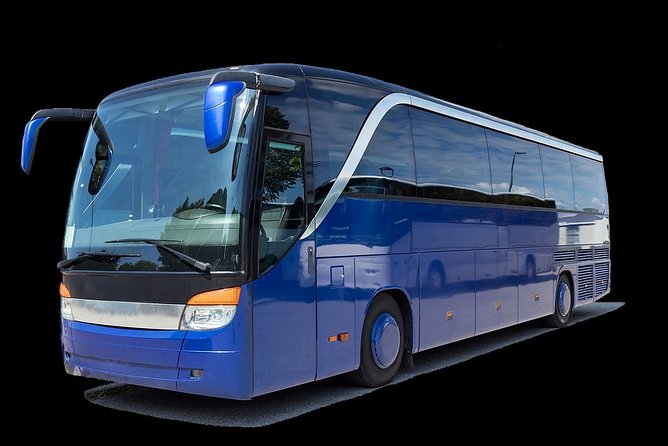 Private Transfer From Santorini Airport to Santorini - Customer Experience and Reviews