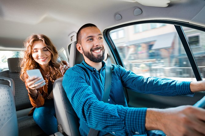 Private Transfer Orly Airport ORY & Disneyland Paris - Included Amenities and Onboard Features