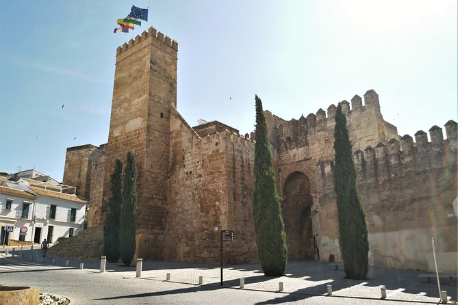 Private Visit to Carmona and Its Main Monuments - Accessibility and Participation