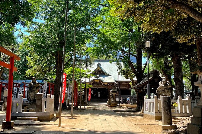 Private Walking Tour in Tokyo With a Local Guide - Meeting and Pickup