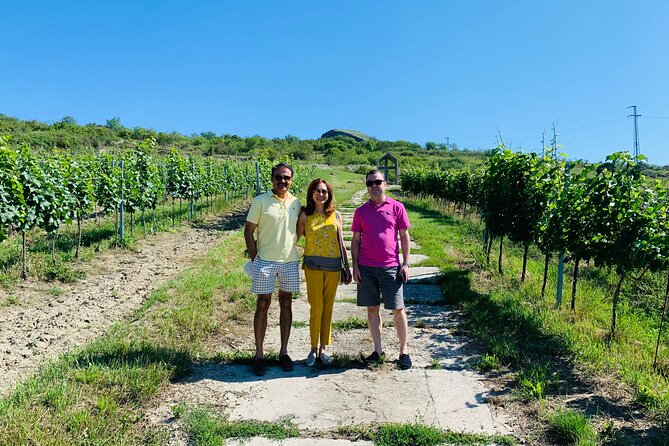 Private Wine, Food & Heritage Tour From Prague to Bohemia - Pricing and Booking