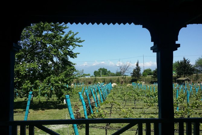 Private Wine Tour to Kakheti From Tbilisi - Inclusions