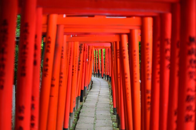 Professionally Guided Tokyo Private Walking Tour - Reviews and Ratings