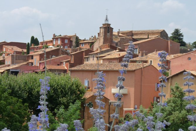 Provence Lavender Full Day Tour Review - Highlights of the Provence Lavender Tour