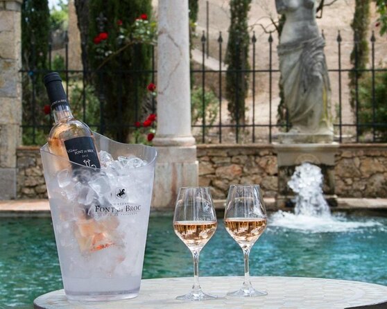 Provence Wine Tour - Small Group Tour From Nice - Tour Experience and Highlights