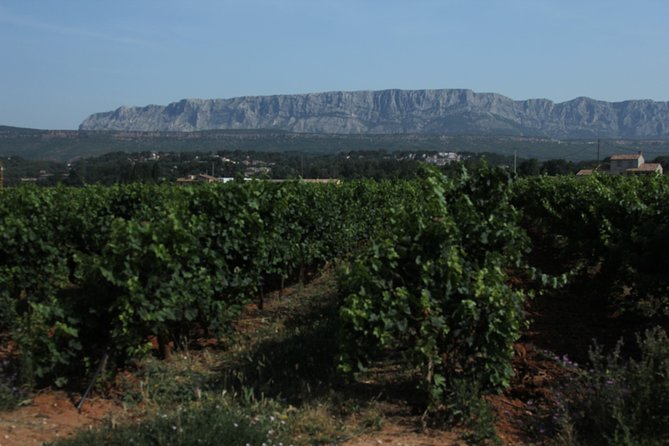 Provence Wineries and Luberon Villages Day Trip From Aix-En-Provence - Exploring Côtes De Provence St-Victoire