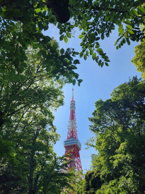 Real Tokyo in One Day With a Local - Highlights and Itinerary