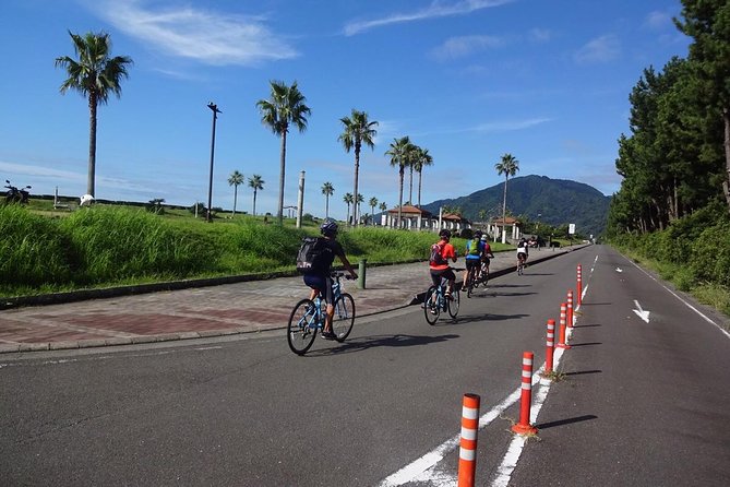 Rental Hybrid Bikes at Shizuoka Station (24 Gears: Not E-Bikes) - Included Amenities