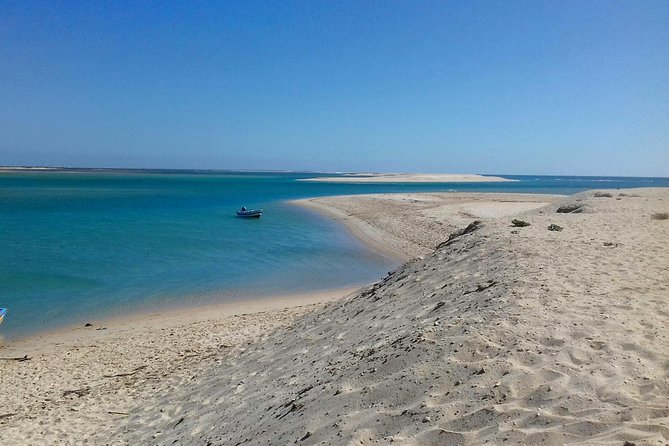 Ria Formosa Bird Watching Boat Trip Review - Tour Highlights and Inclusions