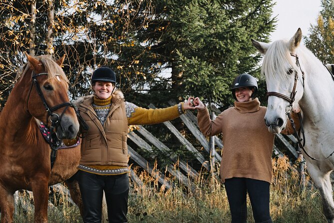 Riding Tour With Finnhorses at Santa Claus Village - Meeting and Pickup Information