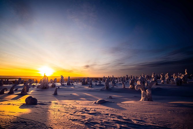 Riisitunturi Wilderness Adventure - Guided Experience With a Professional Photographer