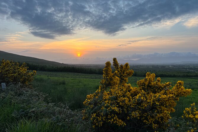 Ring of Kerry Private Tour From Killarney - Private Guide and Local Knowledge