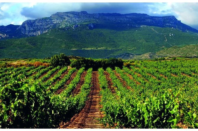 Rioja Alavesa Wineries and Medieval Villages Day Trip - Visiting the Picturesque Hilltop Villages