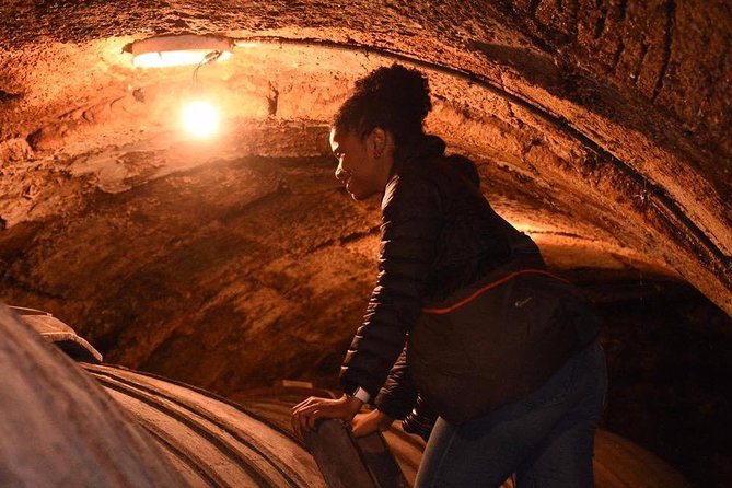 Rioja Alta and Rioja Alavesa Wine Tour - Itinerary and Experiences