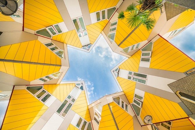 Rotterdam Highlights Private Walking Tour - Personalized Experience