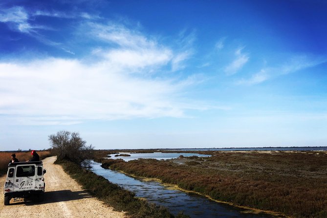 Safari 4x4 Camargue 2 Hours - Saintes Maries De La Mer - Private Tour - Meeting Point and Transportation Details