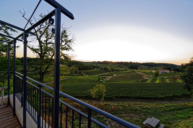 Saint-Emilion Grand Cru Classified: Gourmet Tour in French - Wine Tasting Experience