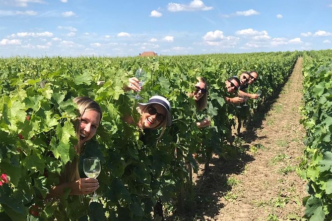 Saint-Emilion Winery Morning Tour With Local Guide - Inclusions and Meeting Information