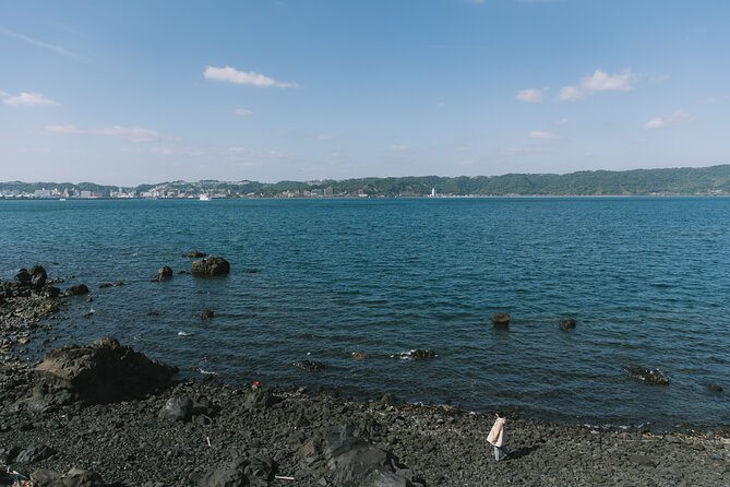 Sakurajima One Day Round Journey E-bike Tour - Inclusions