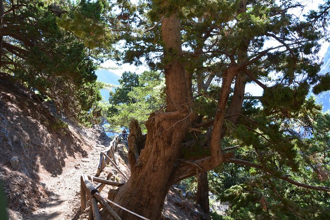 SAMARIA GORGE: One of the Most Important in Europe From Rethymnon - Tour Details and Pickup Locations