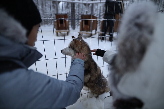 Santa Claus Village, Husky and Reindeers Combo Safari - Highlights of the Itinerary