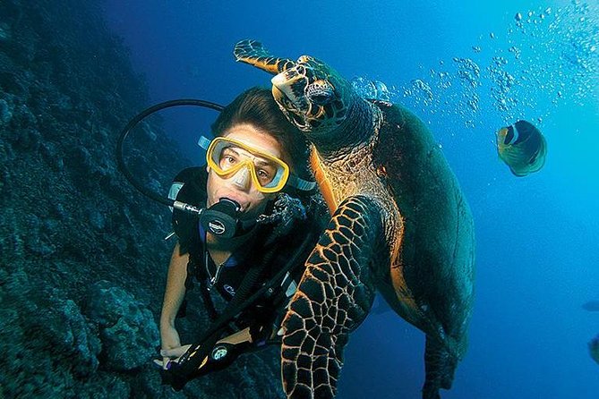 Scuba Diving Full of Adrenaline in Antalya - Meeting and Pickup Details