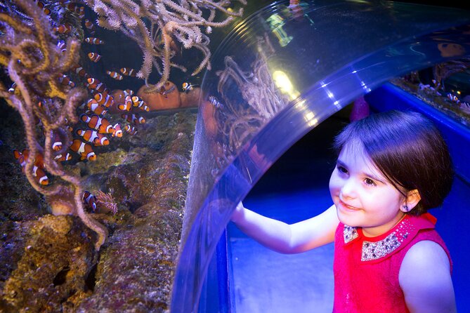 SEA LIFE Birmingham Admission Ticket - Accessibility Features