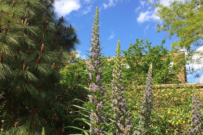 Secret Gardens of London Private Tour - Meeting and Pickup