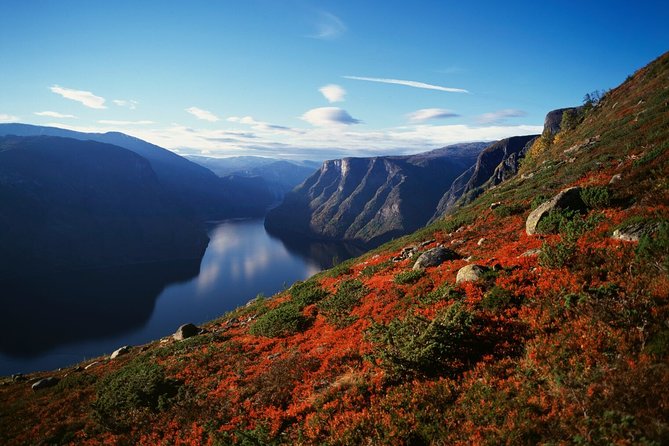 Self-Guided Full Day Round-trip From Bergen - Tour Details