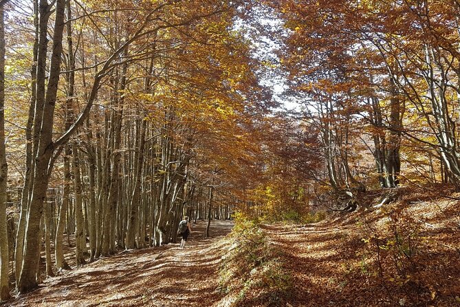 Self-Guided: Peaks of the Balkans Tour in 8 Days - Daily Itinerary Highlights