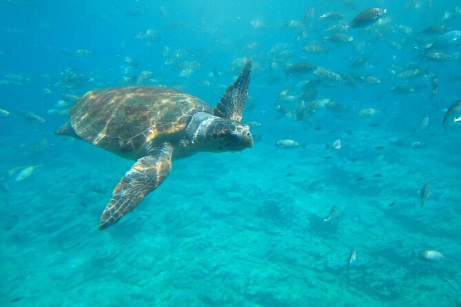 Semi-Submarine Tour From Agios Nikolaos - Meeting and Pickup