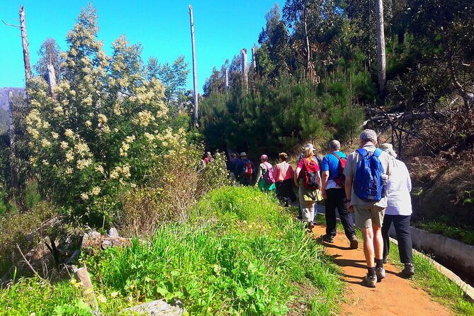 Serra D'a Água Valley - Levada Walk - Inclusions and Pricing